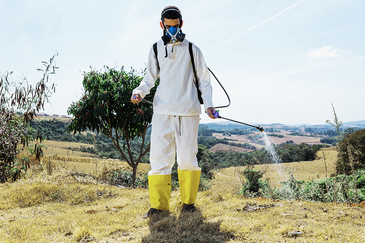 Fumigation Treatment - GreenBox Facilities | 2025